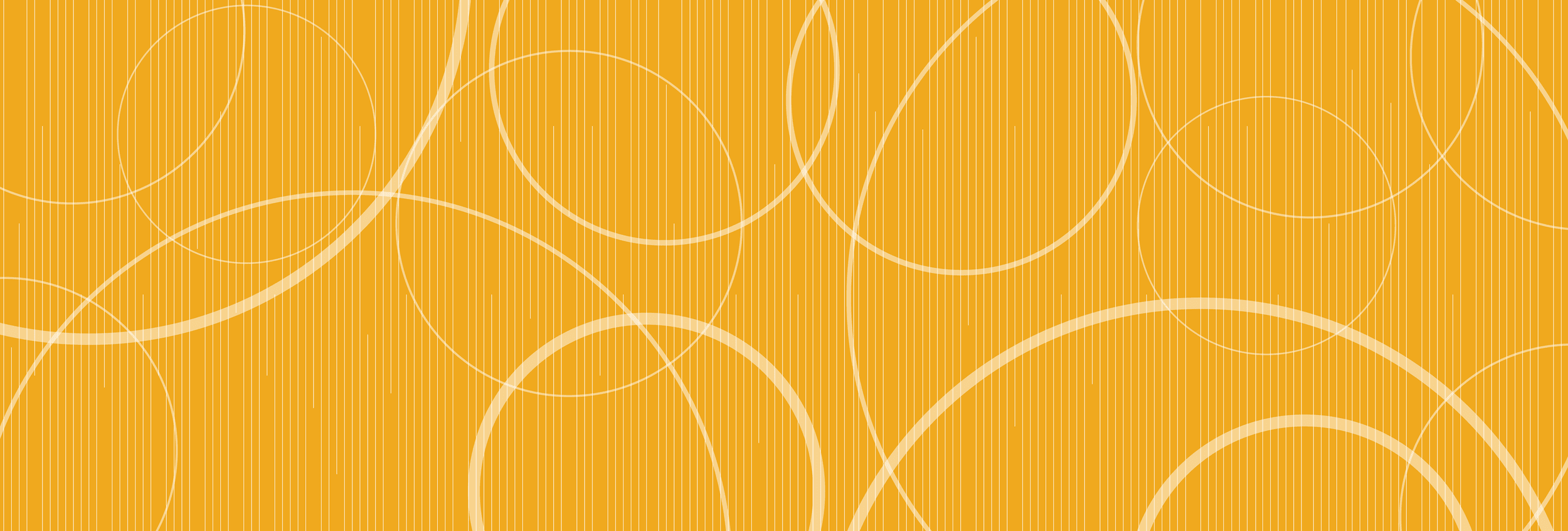 Interview with Filene Fellow Lisa Servon | Filene Research Institute